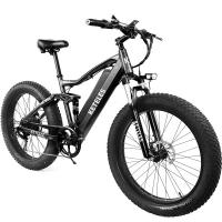 China 48V 250W Motor Electric Mountain Bike with 10AH Lithium Battery and Integrated Battery for sale