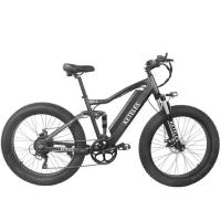 China 48V 250W Motor Electric Mountain Bike with 10AH Lithium Battery and Integrated Battery for sale