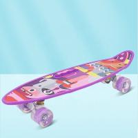 China Flat-Plate Hand-held Small Fish Board Printed Skateboard Four Wheel Flash Mobility Scooter For Boys And Girls for sale