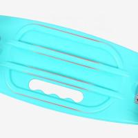 China Flat-Plate Hand-held Small Fish Board Printed Skateboard Four Wheel Flash Mobility Scooter For Boys And Girls for sale
