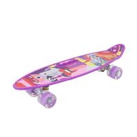 China Flat-Plate Hand-held Small Fish Board Printed Skateboard Four Wheel Flash Mobility Scooter For Boys And Girls for sale