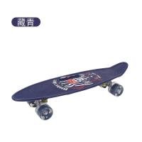 China Flat-Plate Hand-held Small Fish Board Printed Skateboard Four Wheel Flash Mobility Scooter For Boys And Girls for sale