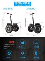 China Upgrade Your Patrol with Angelol 20-Inch Fat Tire Two-Wheel Self-Balance Electric Chariot for sale