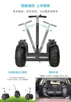 China Upgrade Your Patrol with Angelol 20-Inch Fat Tire Two-Wheel Self-Balance Electric Chariot for sale