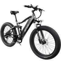 China Aluminum Alloy Frame 48V 13AH Lithium Battery Fat Tire Electric Bike with 1000W Motor for sale