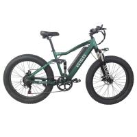 China Aluminum Alloy Frame 48V 13AH Lithium Battery Fat Tire Electric Bike with 1000W Motor for sale