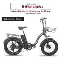 China EU Stock 250W Motor 15AH Lithium Battery Folding E-Bike with and 20x4.0 inch Fat Tire for sale