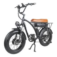 China 2000W Dual Motor Electric Bike with Rear Hub Motor Position and 3 hours Charging Time for sale