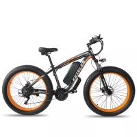 China 1000W Motor 18AH Battery 26