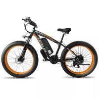 China 1000W Motor 18AH Battery 26