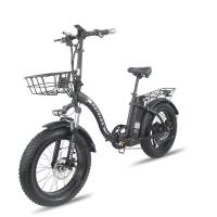 China EU Warehouse 1000W 20x4.0 Fat Tire Folding Electric Bike with 48V 18Ah Lithium Battery for sale