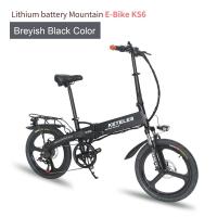 China EU Market 20 Inch Folding Electric Bike with 36V 250W Motor and 10AH Lithium Battery for sale