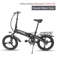 China EU Market 20 Inch Folding Electric Bike with 36V 250W Motor and 10AH Lithium Battery for sale