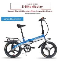 China EU Market 20 Inch Folding Electric Bike with 36V 250W Motor and 10AH Lithium Battery for sale