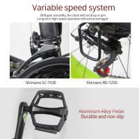 China 26AH 2000W High Power Two Wheel Drive Dual Motor Electric Bike with 26x4.0 inch Fat Tire for sale