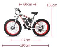 China 2000W Electric Bike with 21AH Lithium Battery and 26x4.0 inch Fat Tire in EU Warehouse for sale