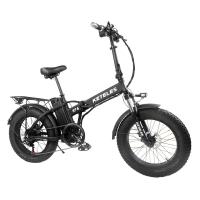 China 2024 Direct 20x4.0 Inch Fat Tire Folding E-Bike 1000W with 7 Speed Gears Rear Hub Motor for sale