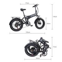 China All-Terrain 1000W 13AH Electric Bike with 20x4.0 Inch Fat Tire and Fast Charging Time for sale