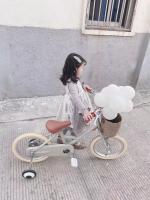 China Alloy Rim INS Style 16 Inch Retro Children's Bicycle Single Speed for 4-8 Year Old Kids for sale