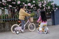 China Alloy Rim INS Style 16 Inch Retro Children's Bicycle Single Speed for 4-8 Year Old Kids for sale