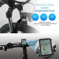 China Electric Mountain Bike 26