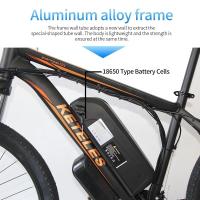 China Electric Mountain Bike 26