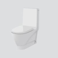 China PP 1 Piece Toilets Washdown Sanitary Ware WC 380x760x840mm Orin ORA2083 for sale