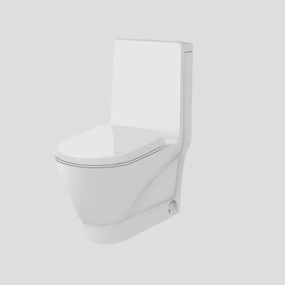 China PP 1 Piece Toilets Washdown Sanitary Ware WC 380x760x840mm Orin ORA2083 for sale