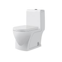 China Washdown One Piece Dual Flush Toilets 365x720x785mm S Trap Water Closet Stain Resistant for sale