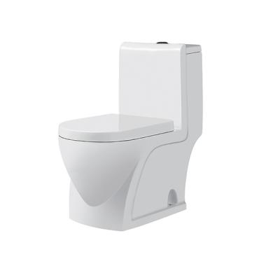 China Washdown One Piece Dual Flush Toilets 365x720x785mm S Trap Water Closet Stain Resistant for sale