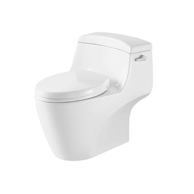 China Dual Flush Siphonic Closet 505x740x690mm S Trap WC Efficient For Bathroom for sale
