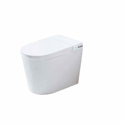 China Space Saving Modern Smart Toilet Washdown Tornado Flush Toilets Orin ORX51 for sale