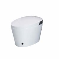 China White Siphon Vortex Toilet Remote Control Tankless Toilet For Home for sale