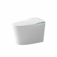 China Seat Heating Intelligent Toilet User Friendly Siphonic Flush Toilet Orin ORV70 for sale