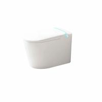 China Remote Control Modern Smart Toilet Bathroom Siphonic WC Orin ORU81 for sale
