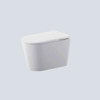 China Modern Bathroom Sanitary Wares Smart Siphonic Water Closet User Friendly for sale