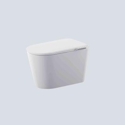 China Modern Bathroom Sanitary Wares Smart Siphonic Water Closet User Friendly for sale
