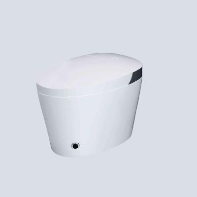China Remote Control Siphonic Toilets Automatic Flip Modern Smart Toilet White With Flush Seat Heating for sale