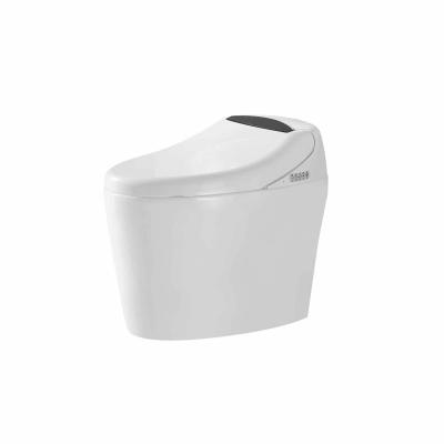 China User Friendly Siphonic Toilet Pan One Piece Tankless Toilets 420x680x520mm Orin OR2208 for sale