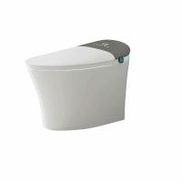 China Water Efficient Modern Smart Toilet Quiet Flush Tankless Toilets For Home for sale