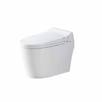 China S Trap Bathroom Modern Toilets 380x670x510mm Tankless Toilets With Bidet for sale