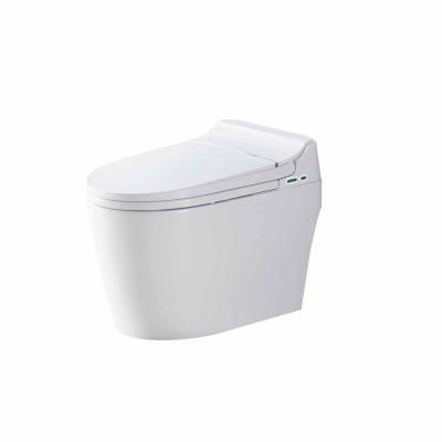 China S Trap Bathroom Modern Toilets 380x670x510mm Tankless Toilets With Bidet for sale