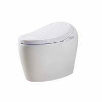 China Space Saving Modern Smart Toilet White Tankless Smart Toilet 420x680x540mm Orin OR2205B for sale