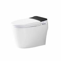 China Remote Control Tankless Bidet Toilet 380x670x490mm Siphonic Toilet Pan White Orin OR2213 for sale
