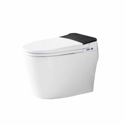 China Remote Control Tankless Bidet Toilet 380x670x490mm Siphonic Toilet Pan White Orin OR2213 for sale