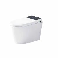 China 440x750x515mm Modern Smart Toilet Space Saving Tankless Toilet With Bidet for sale