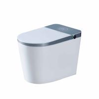 China S Trap Heated Bidet Toilet Siphonic Intelligent Smart Toilet 390x695x480mm Orin OR2236 for sale