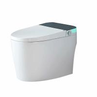 China Low Noise Modern Smart Toilet 405x670x460mm Heated Bidet Toilets User Friendly Orin OR2308 for sale