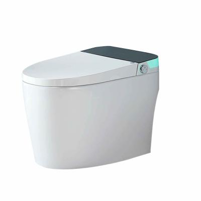 China Low Noise Modern Smart Toilet 405x670x460mm Heated Bidet Toilets User Friendly Orin OR2308 for sale