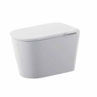 China Automatic Flip Siphonic Toilet Pan Tankless Heated Smart Toilet 430x700x460mm Orin ORW11 for sale